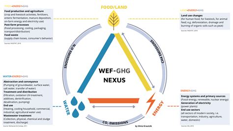 Beyond The Basic Nexus Framework Wef Nexus Online Course