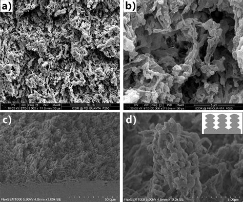 Surface Microstructure Of The Femtosecond Laser Ablated Ptfe Surface