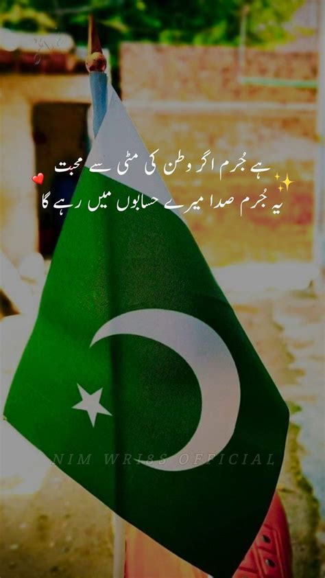 Pakistan Flag Pakistan Love Pakistani Artofit