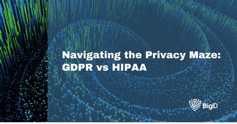 Navigating The Privacy Maze Gdpr Vs Hipaa Bigid
