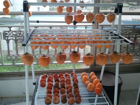 대봉감수확판매아파트에서 곶감 만드는 법곶감 말리는 법 네이버 블로그