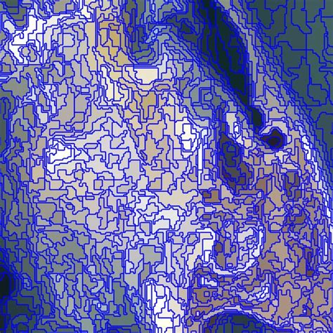 The Sample Of Segmentation Of Ecognition Software Download