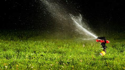 Is Watering The Lawn At Night A Bad Idea An Expert View Homebuilding
