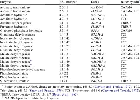 Enzymes Loci And Buffer Systems Used In The Analysis Of Relationships