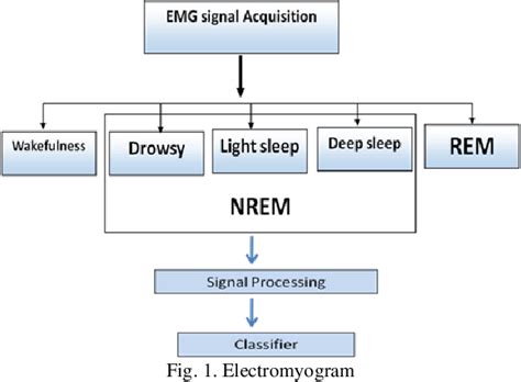 Figure 1 From Automatic Sleep Scoring Stages Using Real Time Emg
