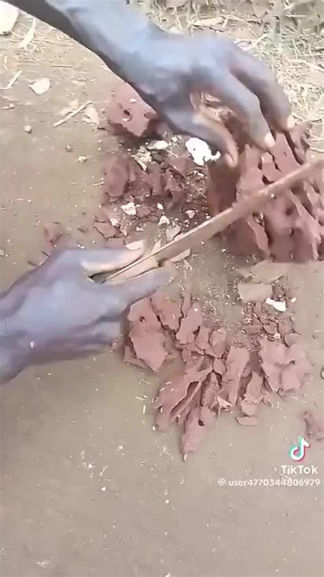 Termite Queen Album On Imgur