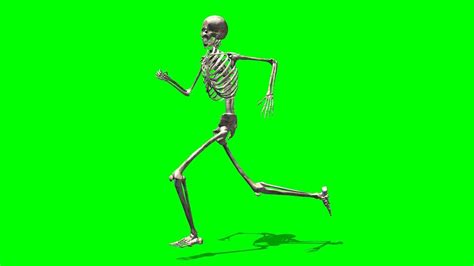 Running Skeleton Green Screen Free Use Green Screen Video