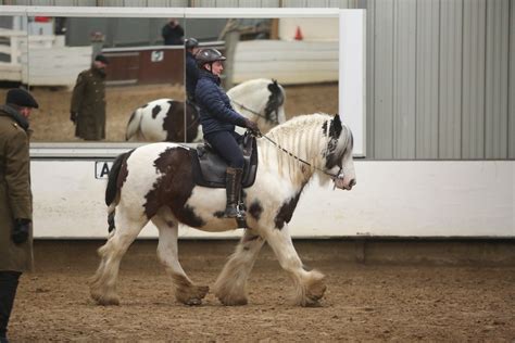 Arne Koets Das Macht Sinn Barockreider Lëtzebuerg