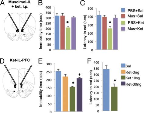Il Pfc Stimulation Is Necessary And Sufficient For The Antidepressant Download Scientific