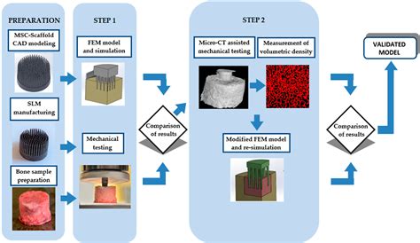Figure 1 From Bone Density Micro Ct Assessment During Embedding Of The Innovative Multi Spiked