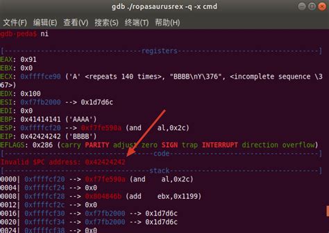 plaid ctf 2013 pwn200 ropasaurusrex 喵喵喵喵 愚かな人間