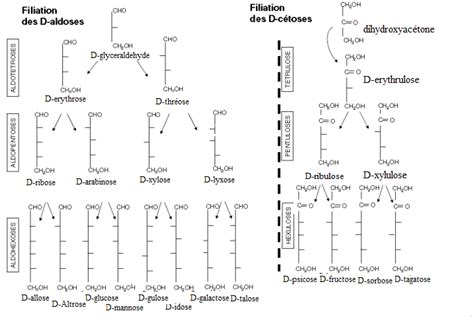Les Oses Continuer Ilovesnv