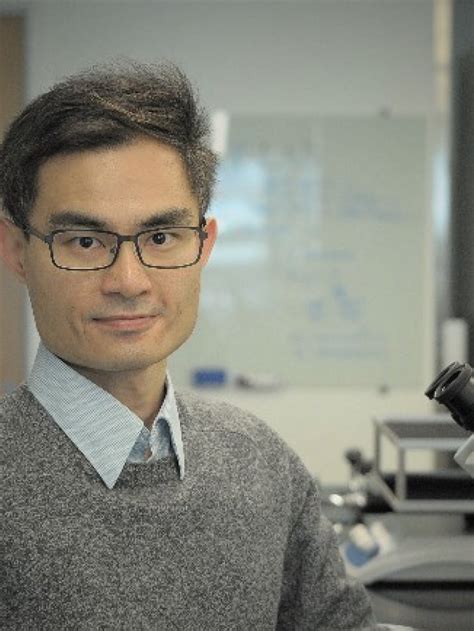 Ching On Wong Rutgers Sas Newark