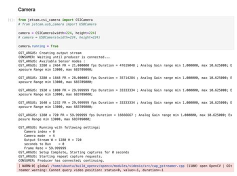 jetracer no camera widget when running interactive regression jetson orin nano nvidia