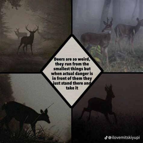 Deer Scary Deer Oc Names Deer Personality Traits