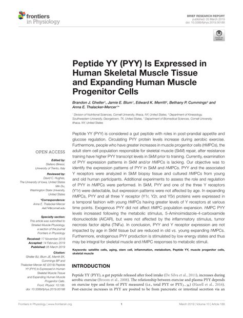 Pdf Peptide Yy Pyy Is Expressed In Human Skeletal Muscle Tissue And
