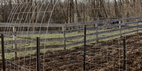 Easy Cattle Panel Arch Trellis Diy Affordable Garden Arbor Diana