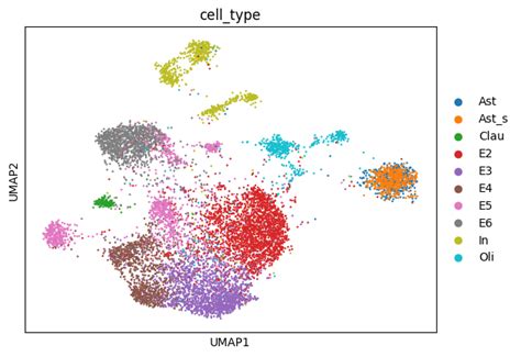 Matched Mouse Cortex Data Expeirment — Sccross 1 0 5 Documentation
