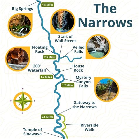 Hiking The Narrows Zion National Park Gear Tips What To Expect