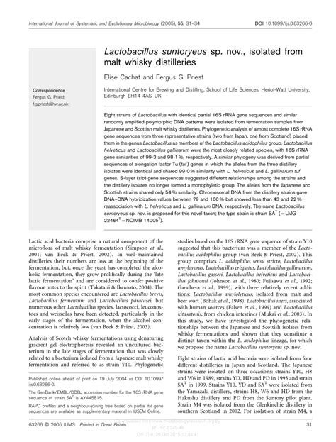 Pdf Lactobacillus Suntoryeus Sp Nov Isolated From Malt Whisky