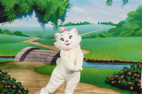 Disney Characters Costumes Gallery • Fairytale Weddings Guide
