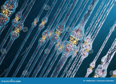Synaptic Transmission Human Nervous System Concept Consciousness Brain Synapses Stock