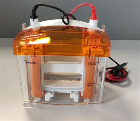 Francesca Nuzzo Posted On Linkedin