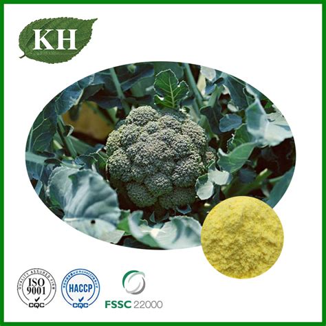Broccoli Extract From China Manufacturer Kingherbs