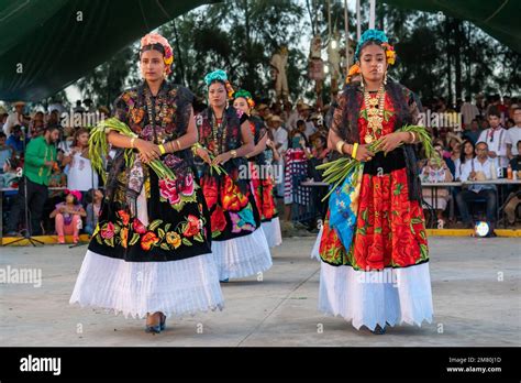 Dancers From Juchitan De Zaragoza Perform A Traditional Dance At The