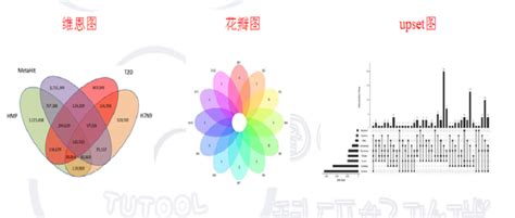 在线作图 如何画韦恩图（包含upset图） 知乎