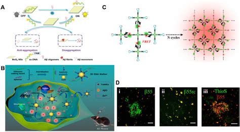 Schematic Diagram Of Fluorescence Sensor For Detecting Aβ A A Download Scientific Diagram