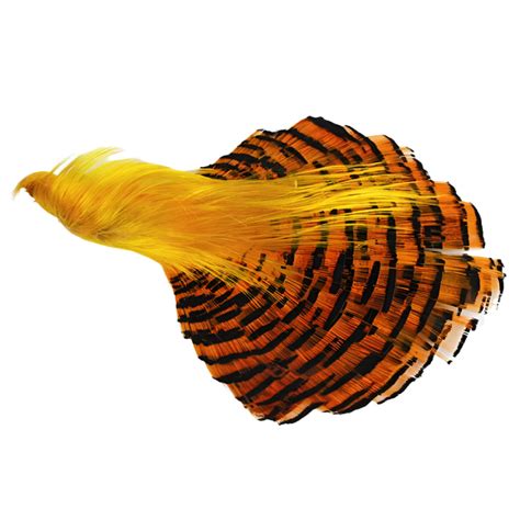 Wapsi Golden Pheasant Crest And Neck Natural Fly Tying Feathers