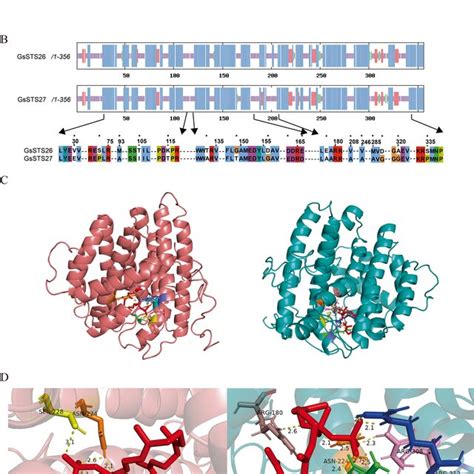 Analysis Of Gene Structure And Protein Tertiary Structure Prediction A