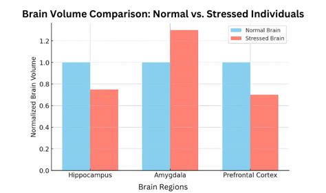 Effects Of Stress On The Brain How Chronic Stress Impacts Mental And