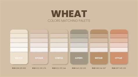 Color Palette In A Wheat Colour Themed Collections Color Scheme Or