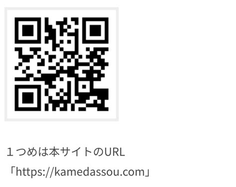 PythonでパソコンのカメラでQRコードを読み込むバーコードも読めます かめ脱走中 PythonでパソコンのカメラでQRコードを読み込むバーコードも読めます かめ脱走中