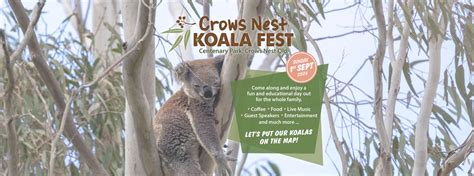 crow s nest koalafest queensland koala crusaders inc