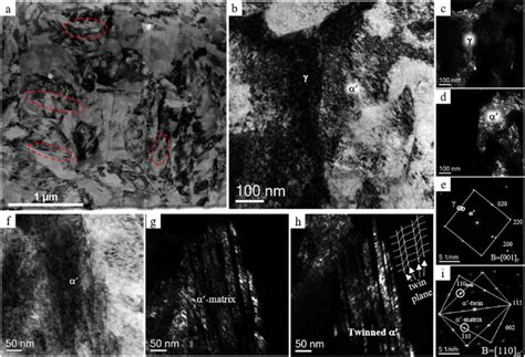A Bf Stem B And F Bf Tem And C D G And H Df Tem Download Scientific Diagram