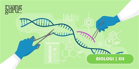 Mutasi Pengertian Klasifikasi And Dampaknya Biologi Kelas 12