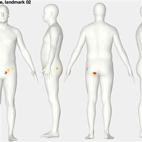 A Original Smpl 3d Joints B Smpl Regression Weights For The Download Scientific Diagram