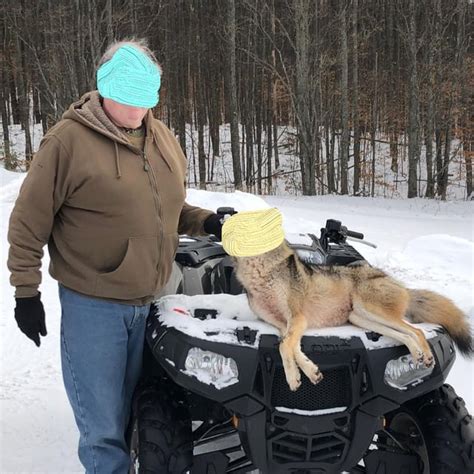 Delivering The Story Of Orcinol R Hermancainaward