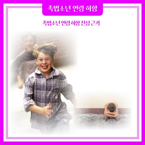 촉법소년 연령 하향 찬성 반대 근거 나이를 낮추다 네이버 블로그 촉법소년 연령 하향 찬성 반대 근거 나이를 낮추다 네이버 블로그