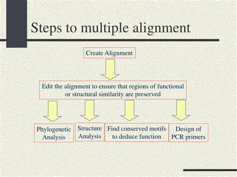 Ppt Blast And Multiple Sequence Alignment Powerpoint Presentation