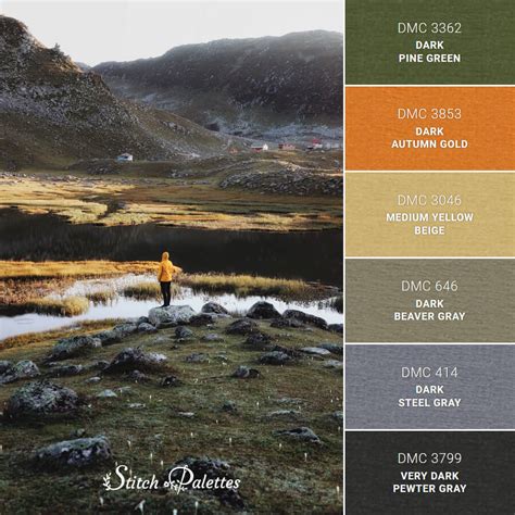 Thinking In Solitude Embroidery Color Palette With Thread Codes