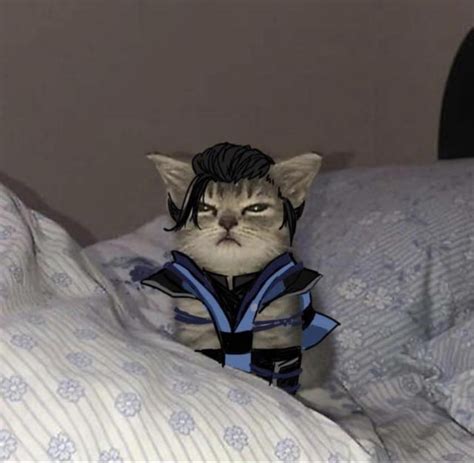 Bi Han Would Never Allow A Woman To Be A Lin Kuei Rsubzeromain