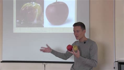 Школа начинающего сыроеда Часть 1 Youtube