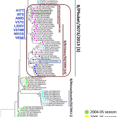Phylogenetic Trees Based On The Ha And Na Coding Regions Sequences Of Download Scientific