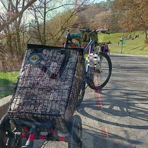 자전거 여행 짐 트레일러 후면 접이식 소형 연결 카트 Youtube