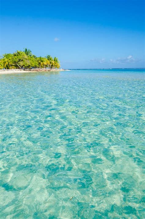 Islas De Belice Pequeña Isla Tropical En El Arrecife De Barrera Con Una Playa Paradisíaca