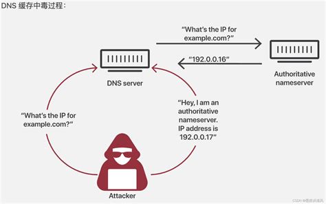 dns投毒 dns缓存投毒说法正确的是 csdn博客